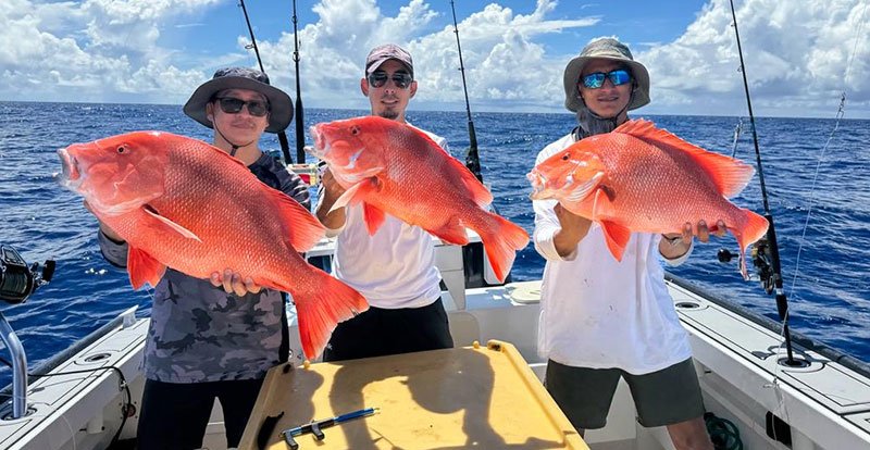 Miles Escape Charters Seychelles | Blogs